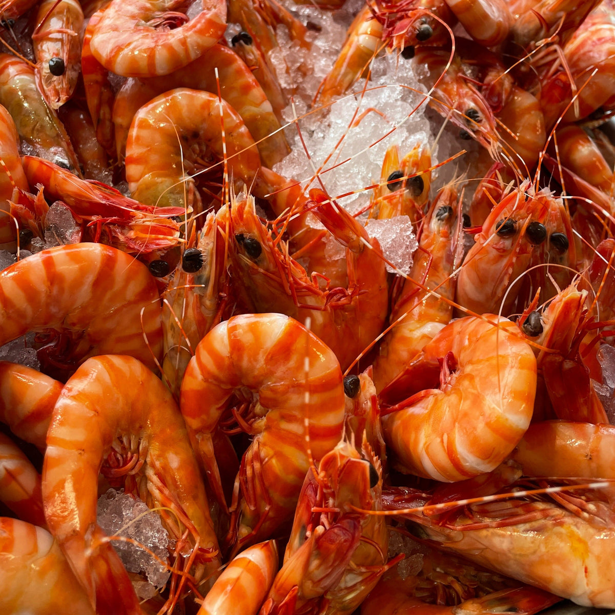 Fresh Prawns in Melbourne | Prawns for Sale | Gem Pier Seafood