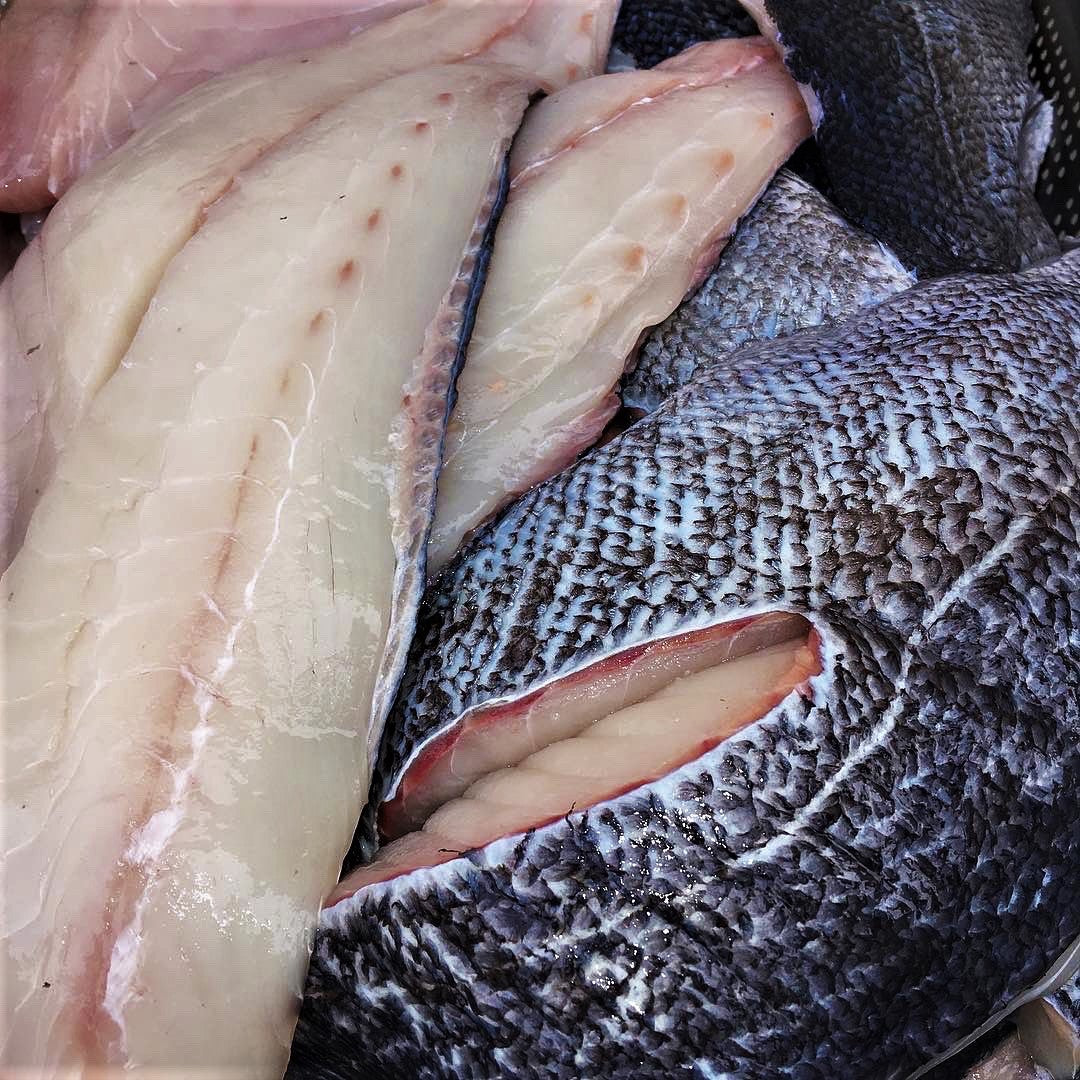 Fresh Fish Fillets for Sale | Buy Fish Fillers Online | Gem Pier Seafood