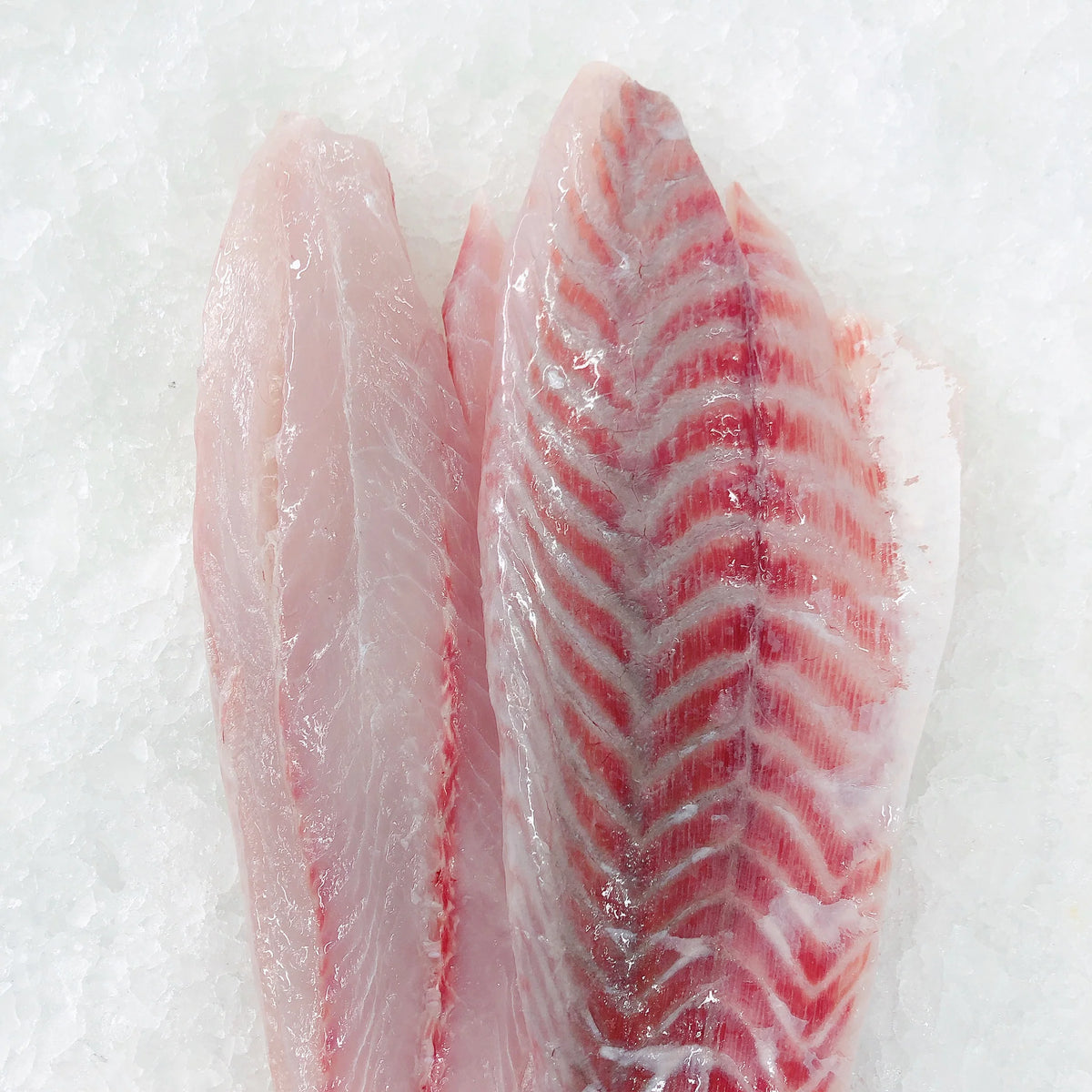Barramundi Fillet – Gem Pier Seafood