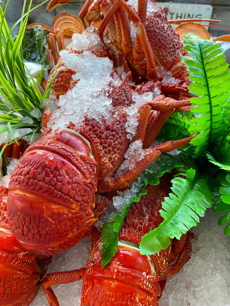 Cooked Crayfish | Whole – Gem Pier Seafood