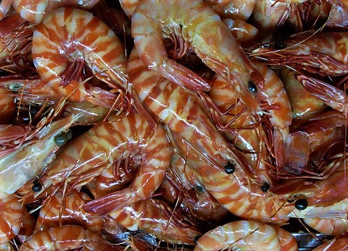 XL Tiger Prawns - Uncooked 3kg box – Gem Pier Seafood